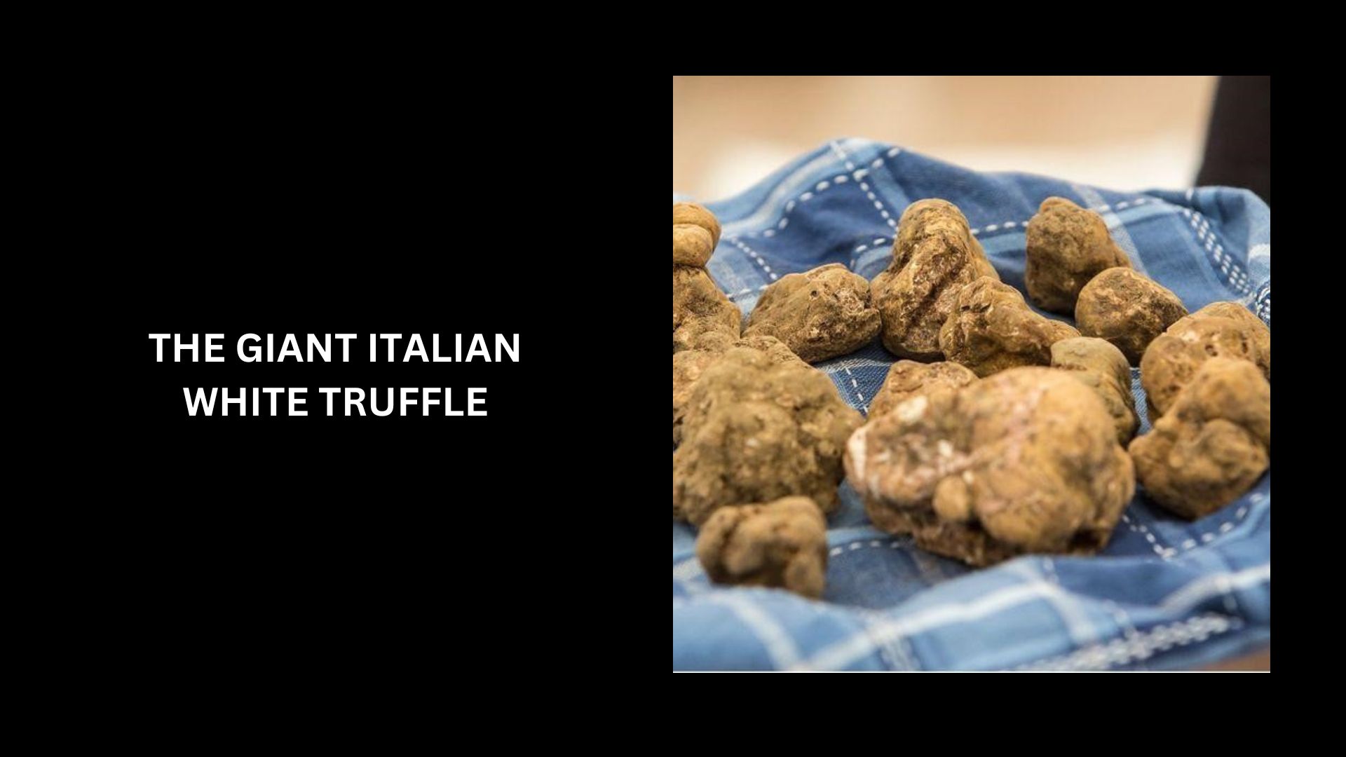 Top 10 Most Expensive Truffles In The World (2023 Updated)