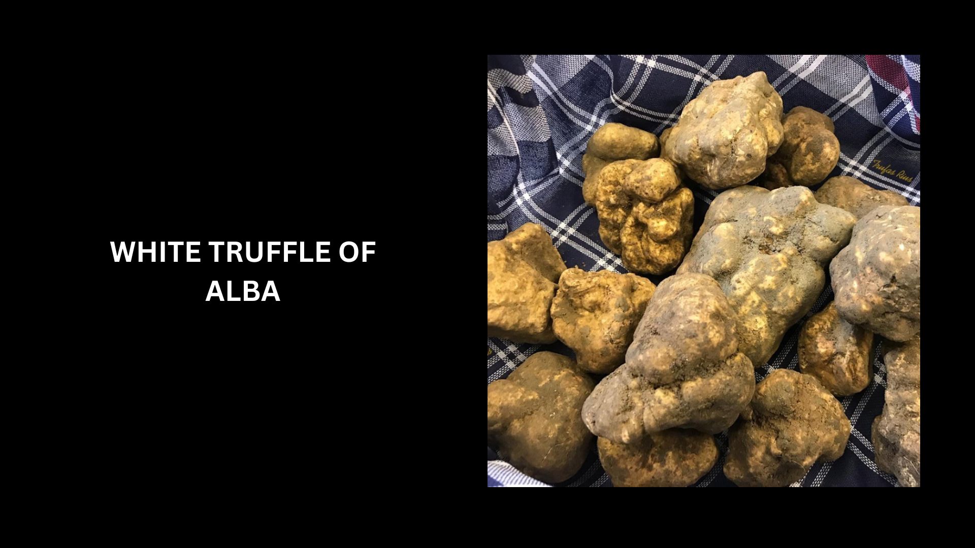 Top 10 Most Expensive Truffles In The World (2023 Updated)