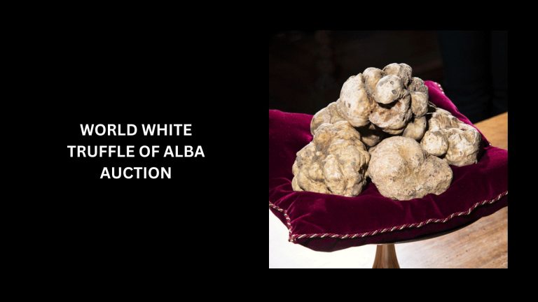 Top 10 Most Expensive Truffles In The World (2023 Updated)