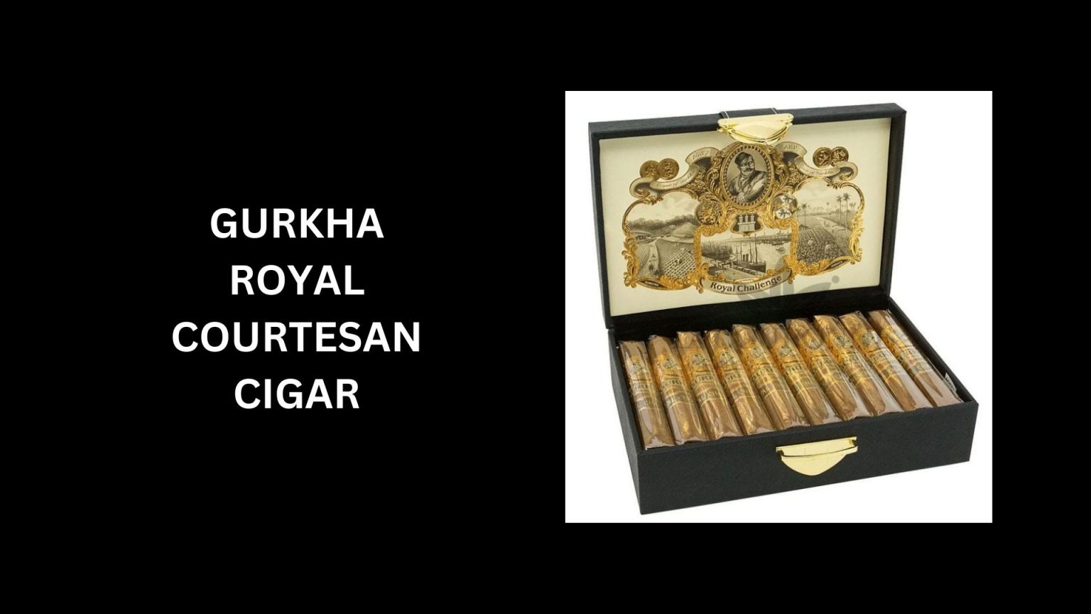 Top 10 Most Expensive Cigars In The World (2023 Updated)