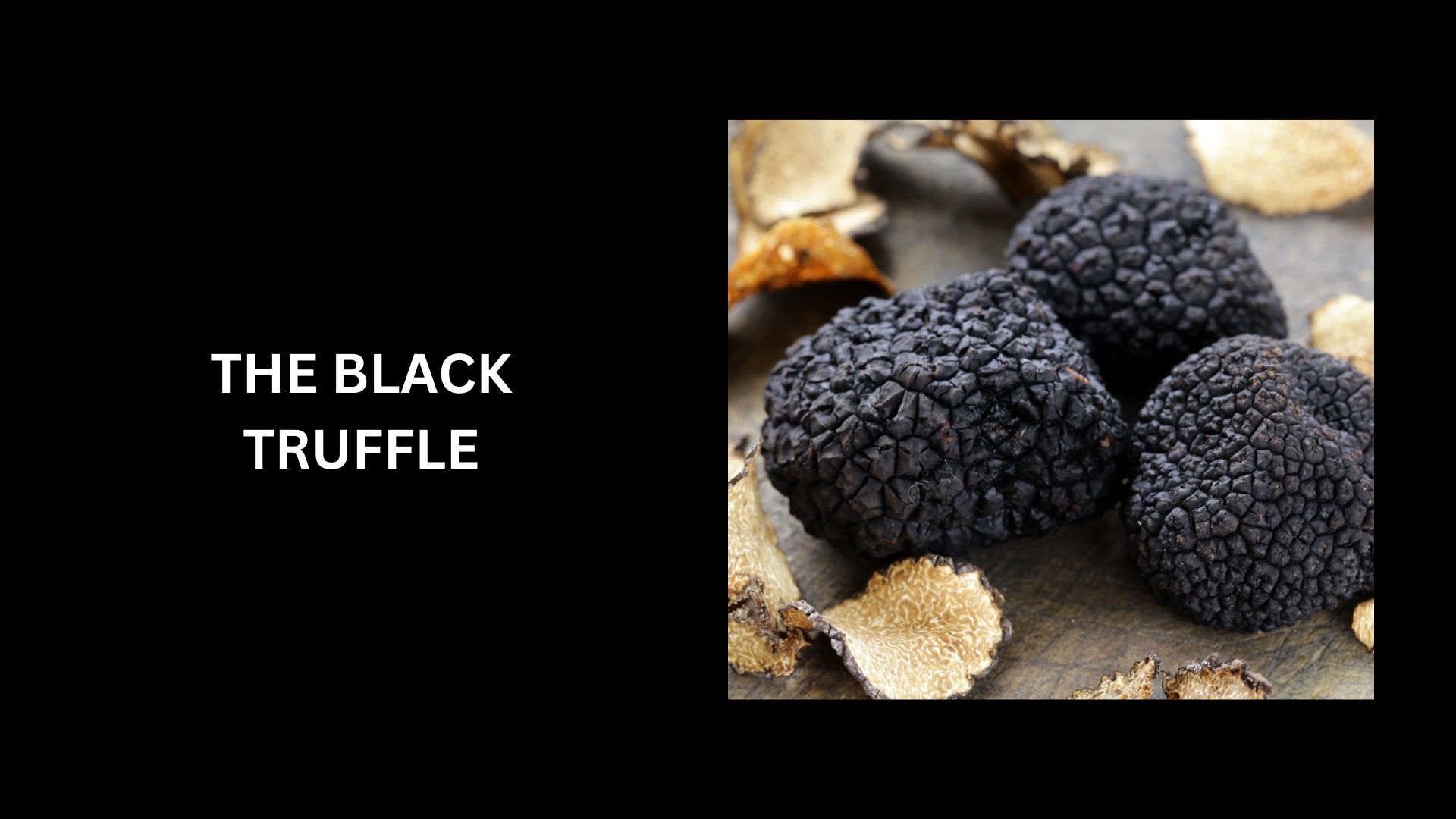 Top 10 Most Expensive Mushrooms In The World