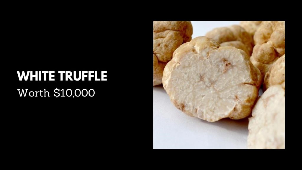 Top 10 Most Expensive Foods in the World - Enterprise Apps Today