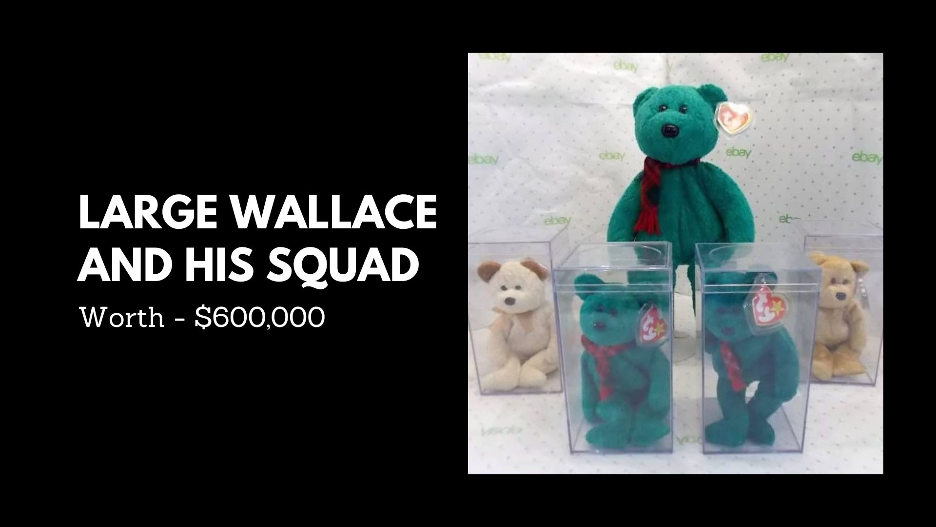 Top 10 Most Expensive Beanie Babies in the World