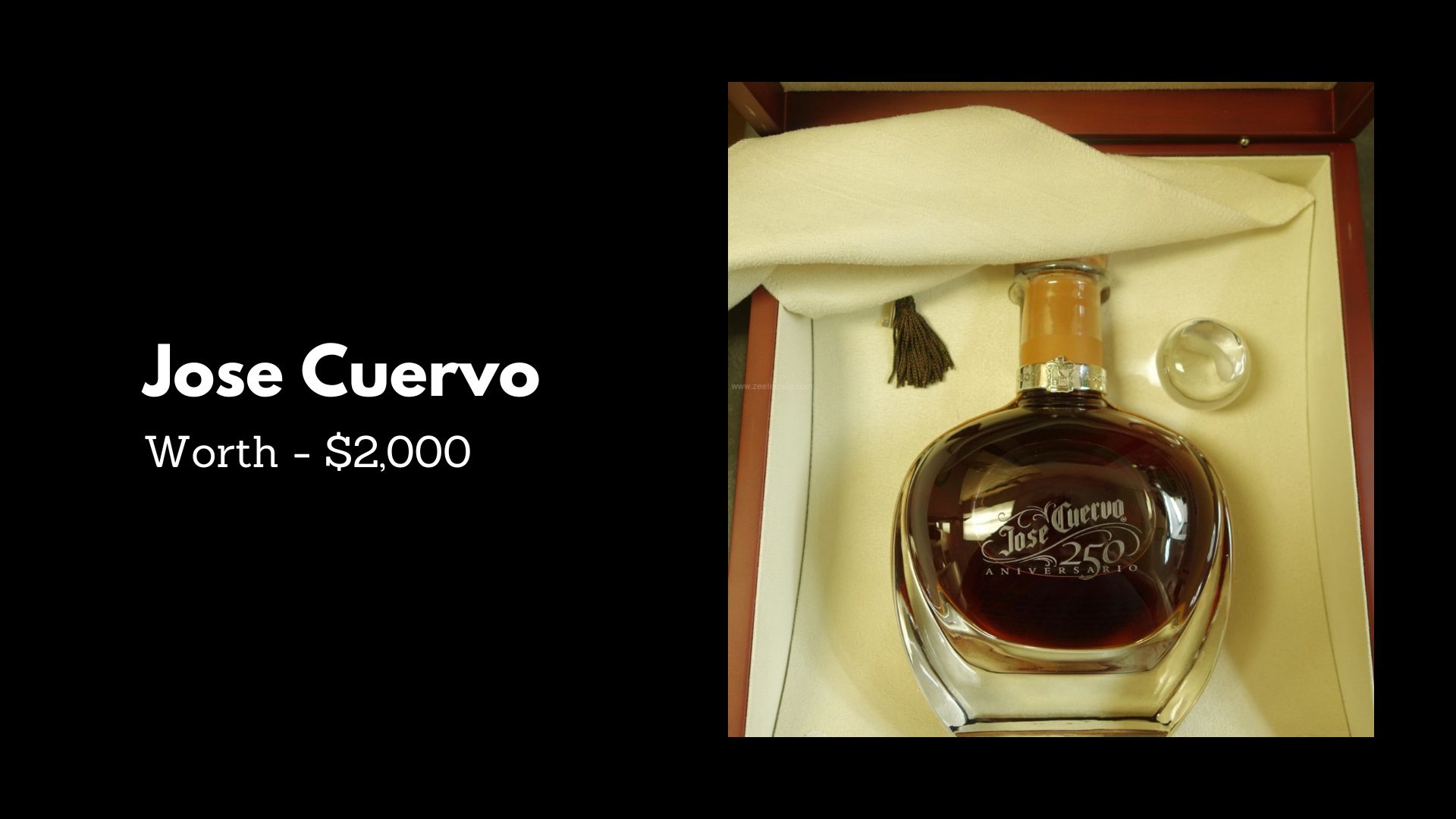 Top 10 Most Expensive Tequilas In The World